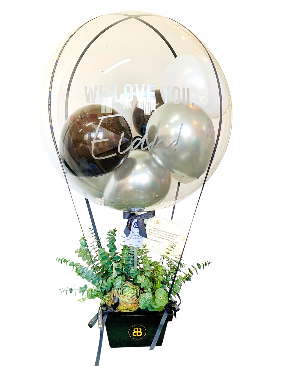 "Eian" | Hot Air Balloon with Succulents - Tall – Balloons & Blooms